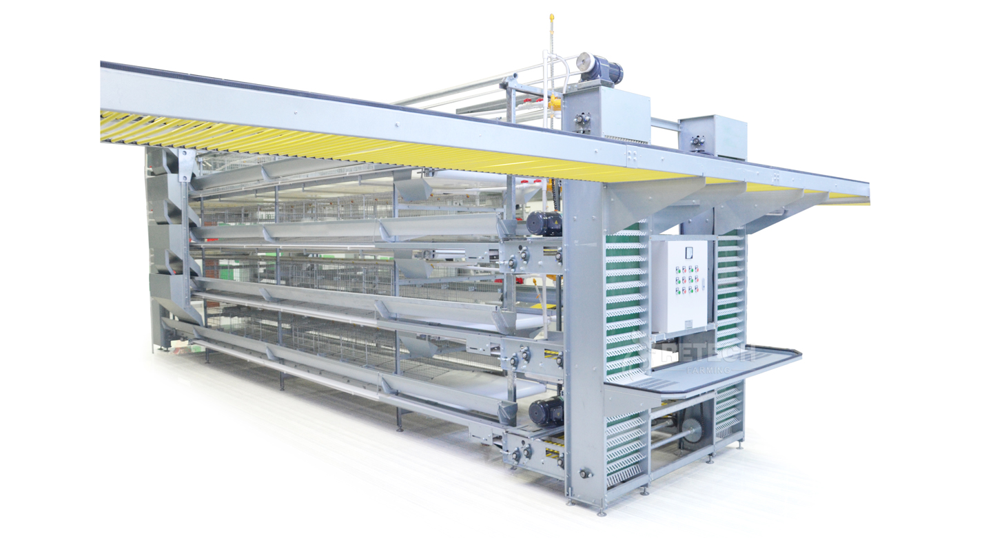 Layer Chicken Cages Manufacturer Supplier China Factory